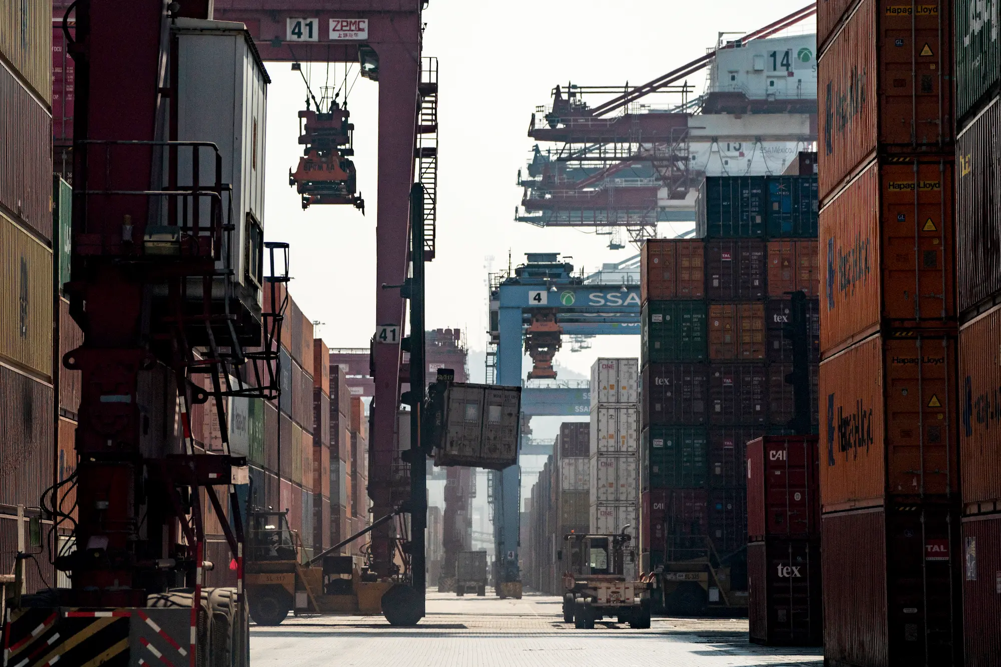 The global network behind the fentanyl crisis