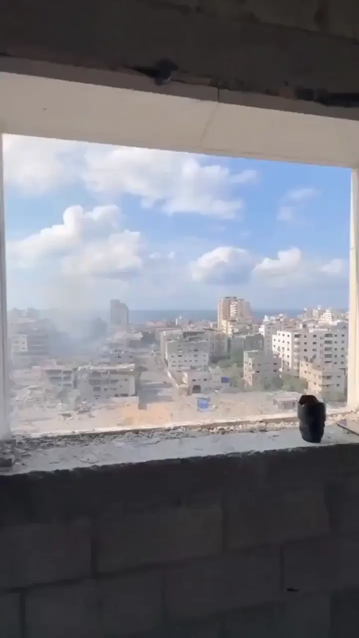 How Israeli air strikes destroyed a busy neighbourhood in Gaza