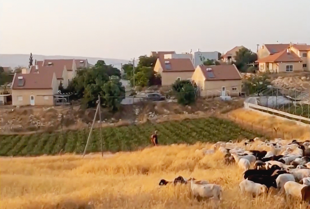 How extremist settlers in the West Bank became the law